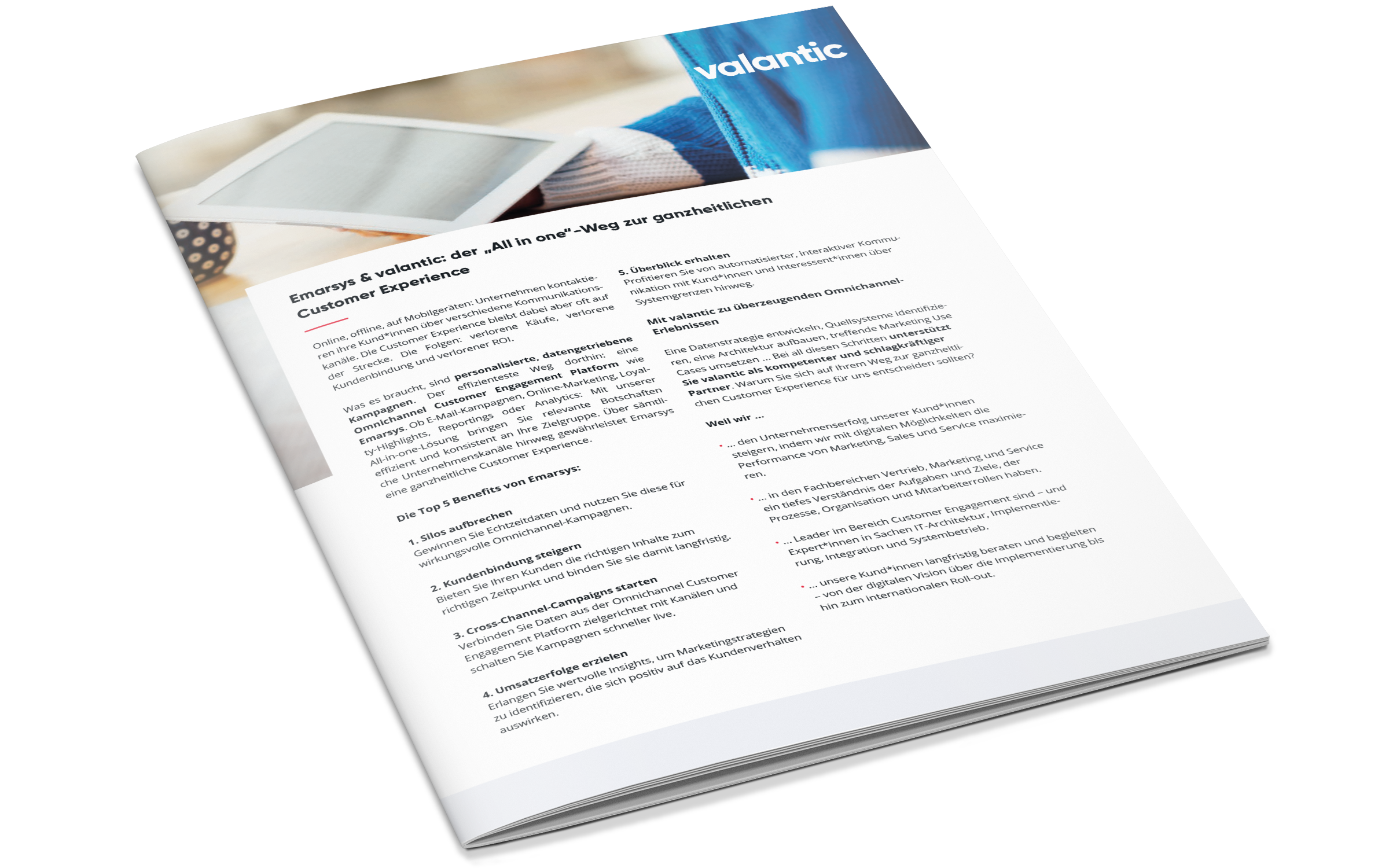 Factsheet: Emarsys & valantic