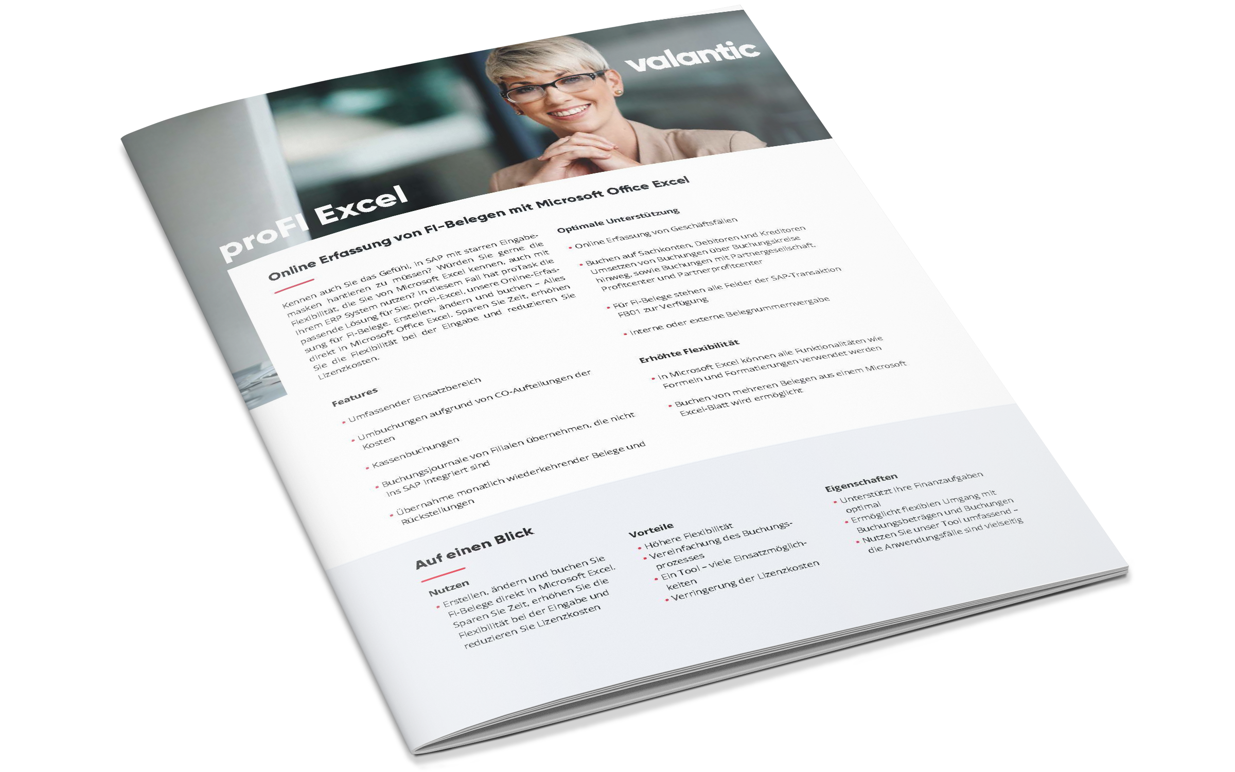 Produktblatt proFI Excel: FI-Belege zeitsparend online buchen